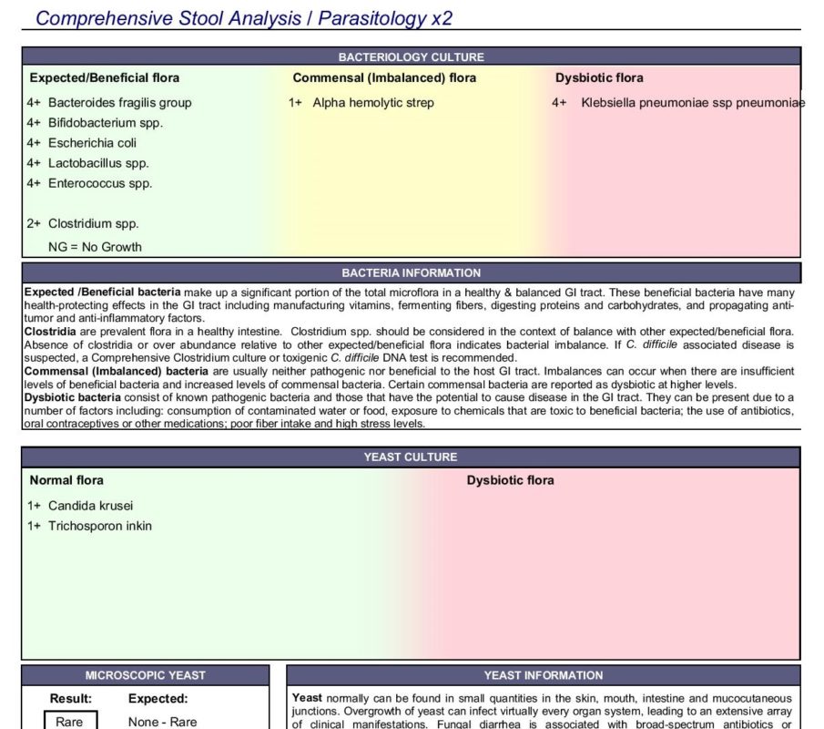 Comprehensive Stool Analysis + Parasitology (Doctors Data) | Second ...