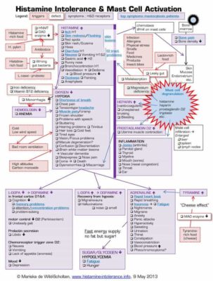 Manage Histamine Intolerance with Methylation & Nutrient Therapy