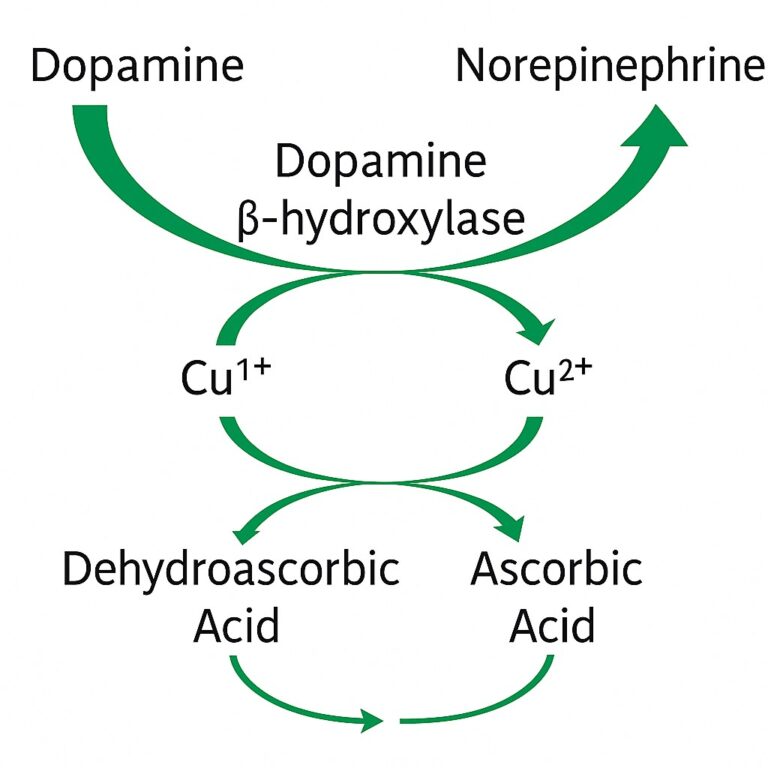 High Copper Symptoms: A Second Opinion on Anxiety and Copper